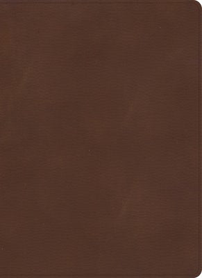 KJV Single-Column Wide-Margin Bible, Brown Leathertouch – Baker Book House