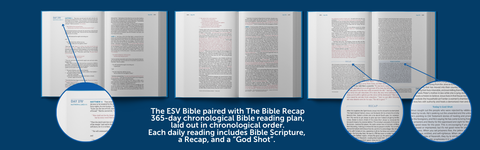 The Bible Recap 365-Day Chronological Study Bible | ESV – Baker Book House