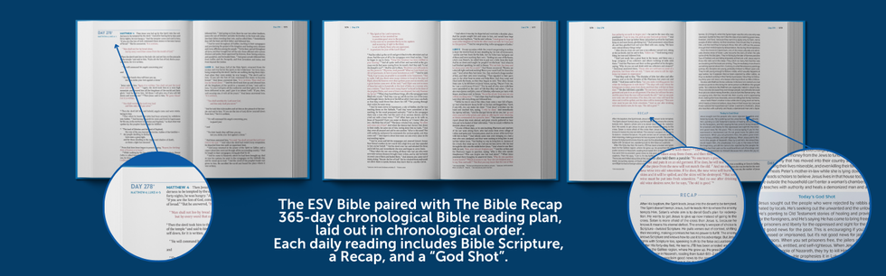 The Bible Recap 365-Day Chronological Study Bible | ESV – Baker Book House