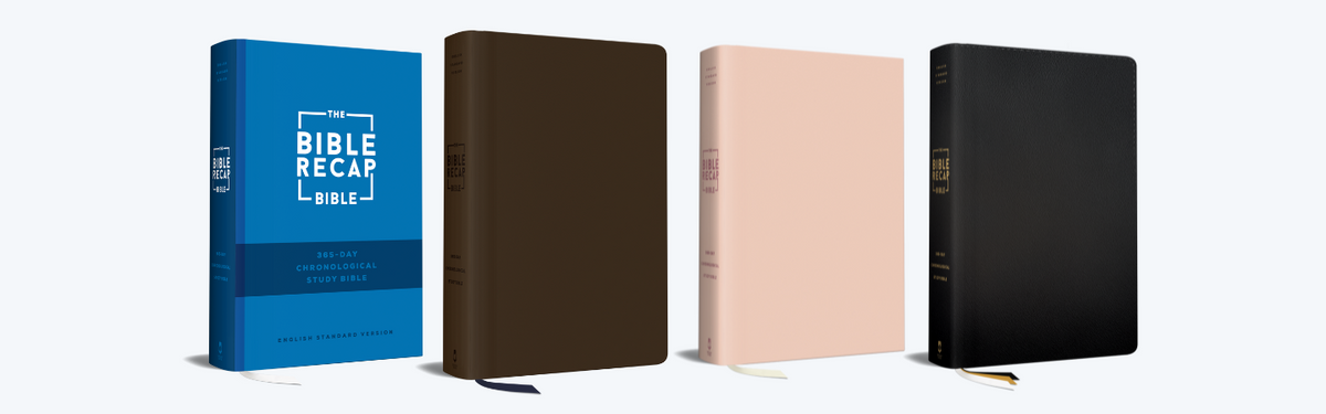 The Bible Recap 365-Day Chronological Study Bible | ESV – Baker Book House