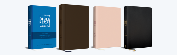 The Bible Recap 365-Day Chronological Study Bible | ESV – Baker Book House